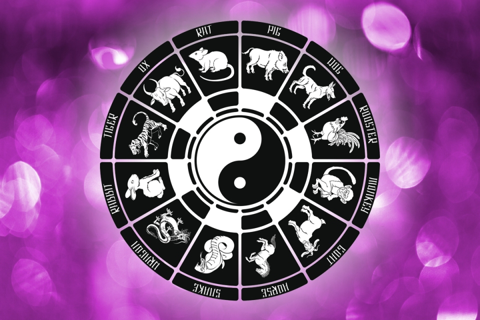 Mythology Behind the Chinese Zodiac Signs – Macho Vibes