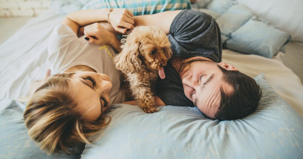 7 Benefits of Getting a Pet for Your Relationship – Macho Vibes