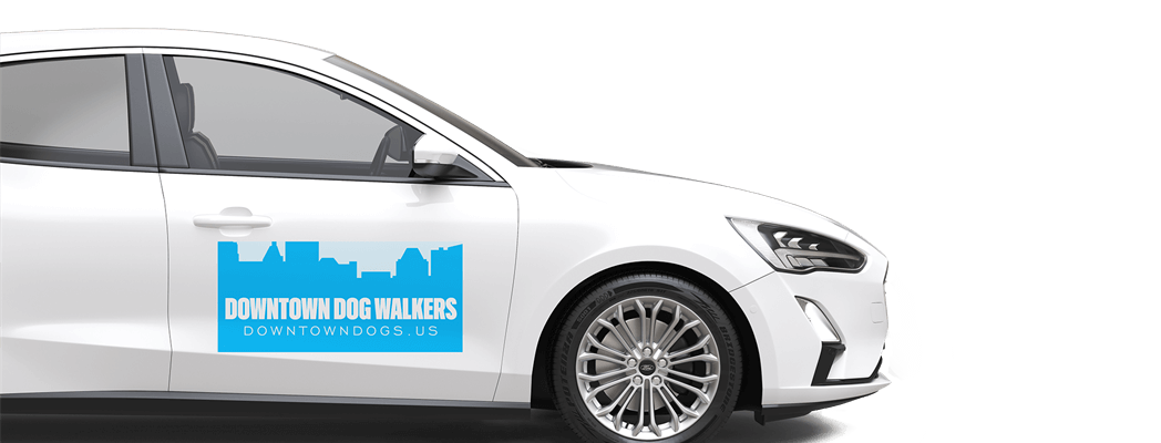 How to Make Your Custom Car Decals Stand Out – Macho Vibes