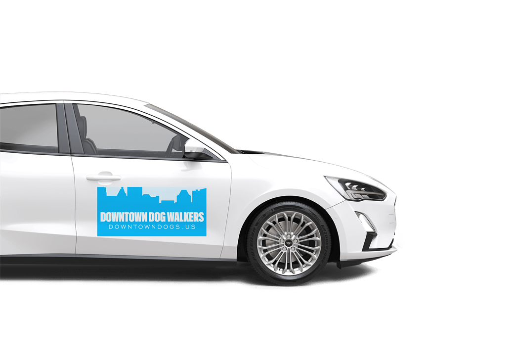 How to Make Your Custom Car Decals Stand Out – Macho Vibes