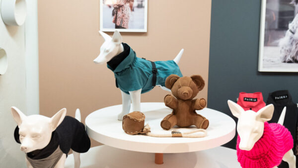 Pet Attire Etiquette: How to Make Fashionable Choices for Your ...